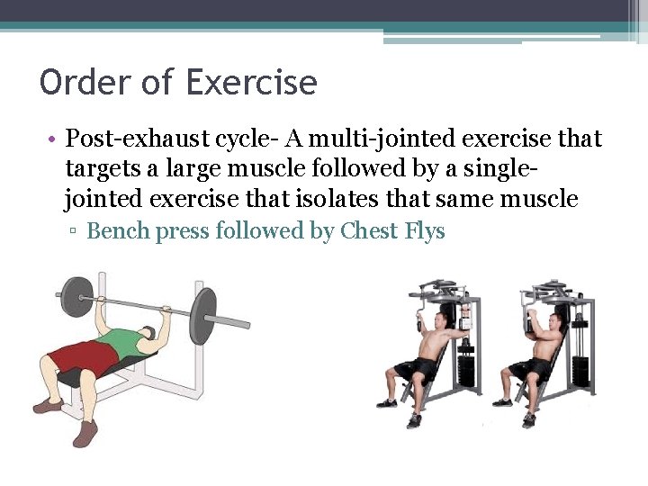 Basics of Muscular Training What is resistance training