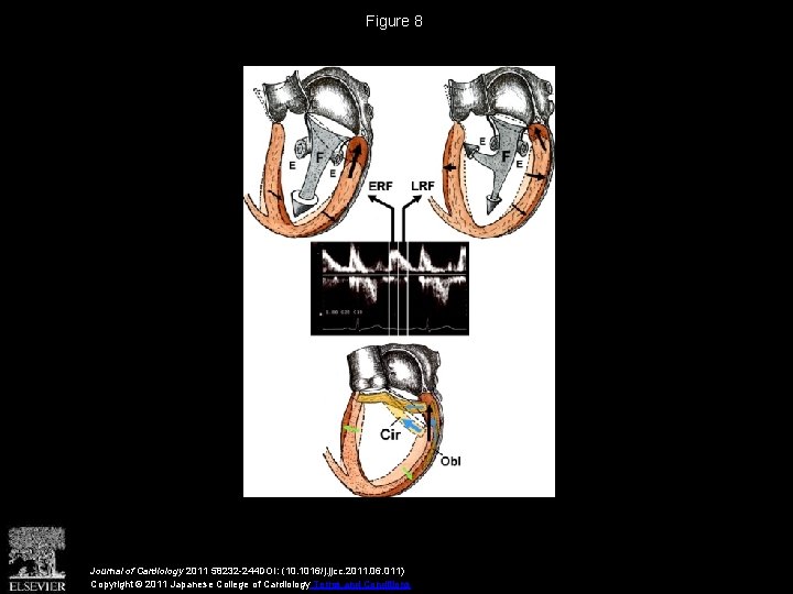 Physiological basis and clinical significance of left ventricular