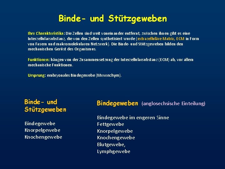 Bindegewebe I Die Zellen Dr Pl Rhlich prof