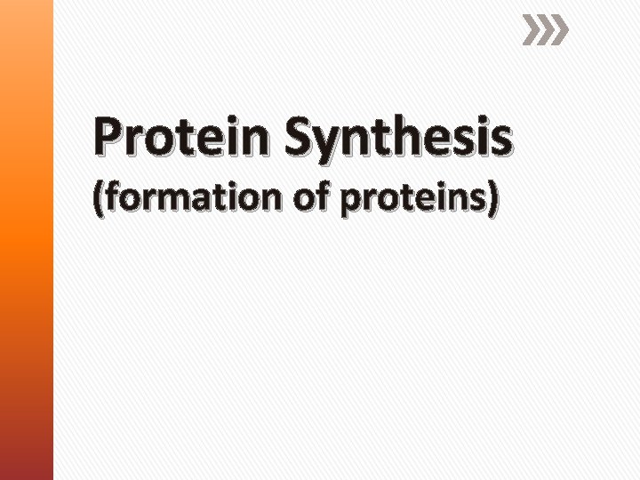 Protein Synthesis formation of proteins Info for protein
