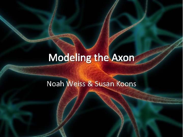 Modeling the Axon Noah Weiss Susan Koons Neuron