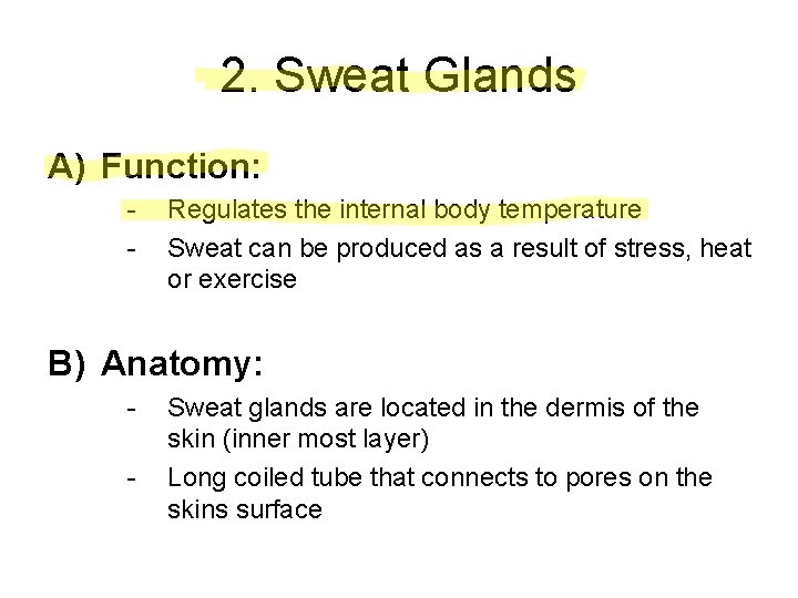 Gotta Go The Urinary system The urinary system