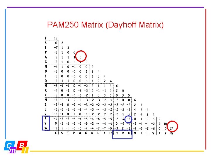 Database searching with BLAST Outline of todays lecture