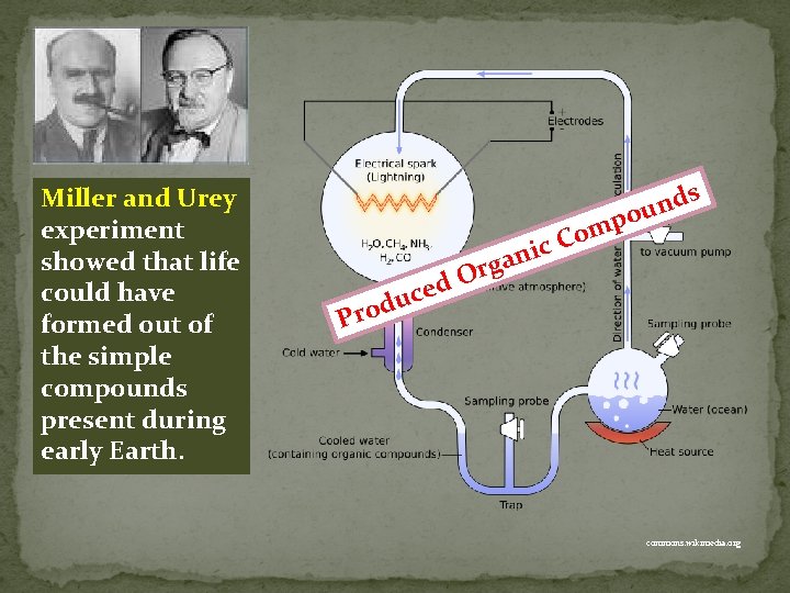 Goal 3 05 b Origins and History of