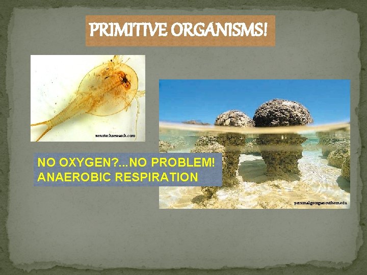 Goal 3 05 b Origins and History of