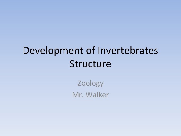 Development of Invertebrates Structure Zoology Mr Walker Hierarchy