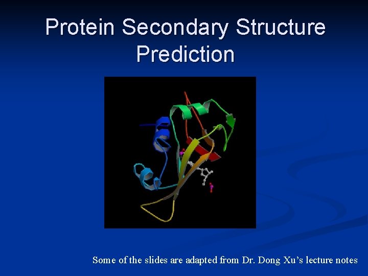 Protein Secondary Structure Prediction Some of the slides