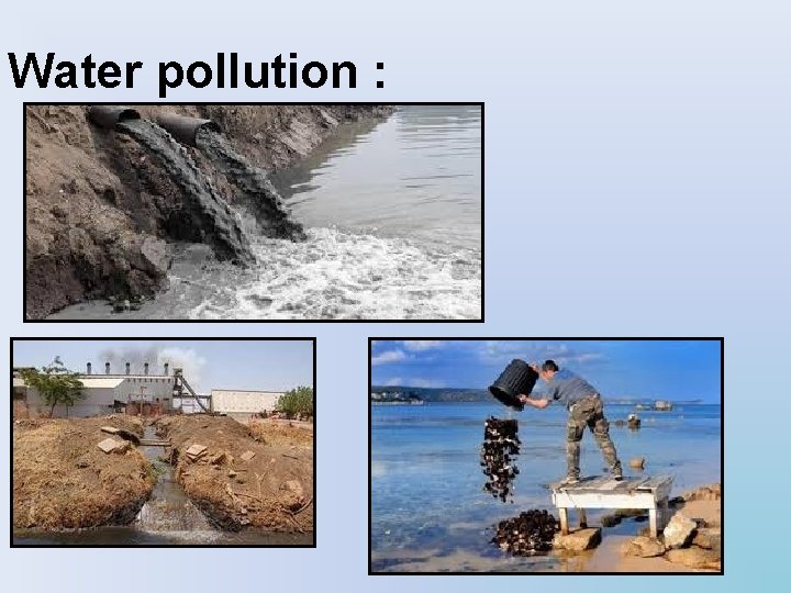 Unit 3 Environmental issues Module 2 The blue
