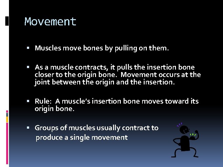 MUSCLE MOVEMENT AND DISORDERS Movement Muscles move bones