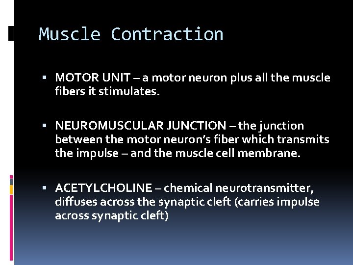 MUSCLE MOVEMENT AND DISORDERS Movement Muscles move bones