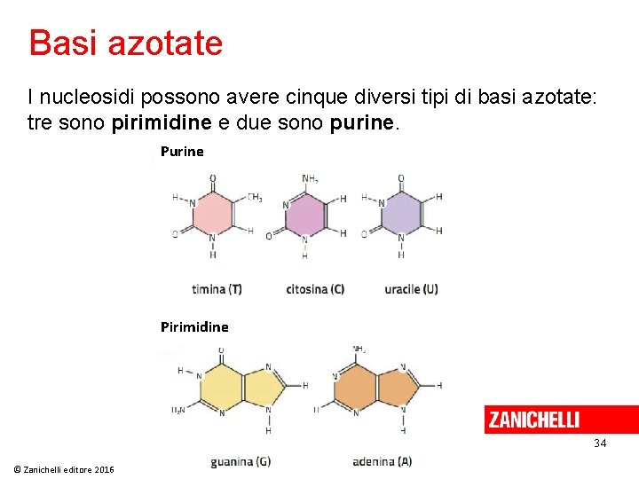 1 Biochimica le biomolecole 2 Zanichelli editore 2016
