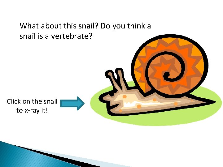 Learning Focus Introduction to vertebrates and invertebrates Success