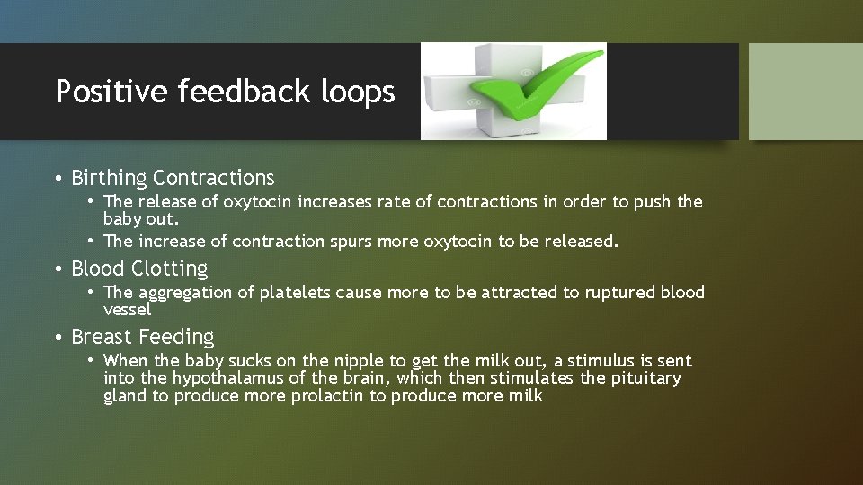 Big Idea 2 Taylor Lord AP Biology Test