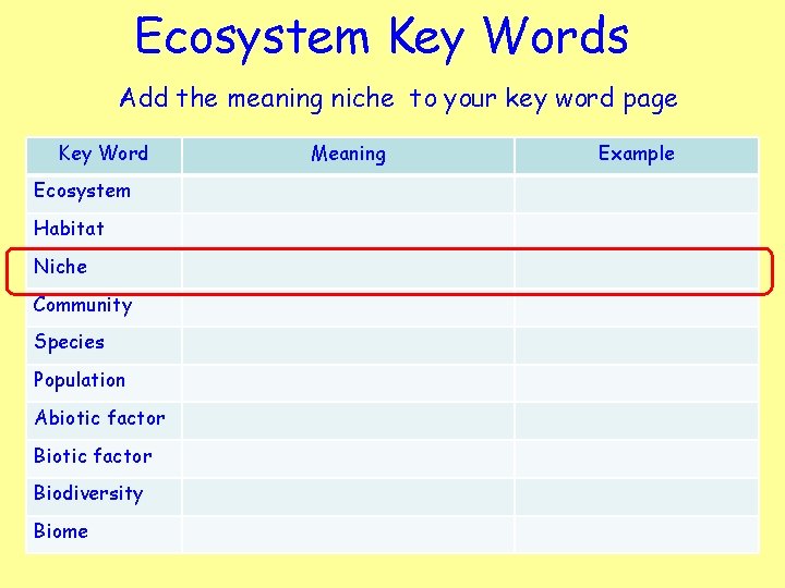 Starter Activity On a show me board What
