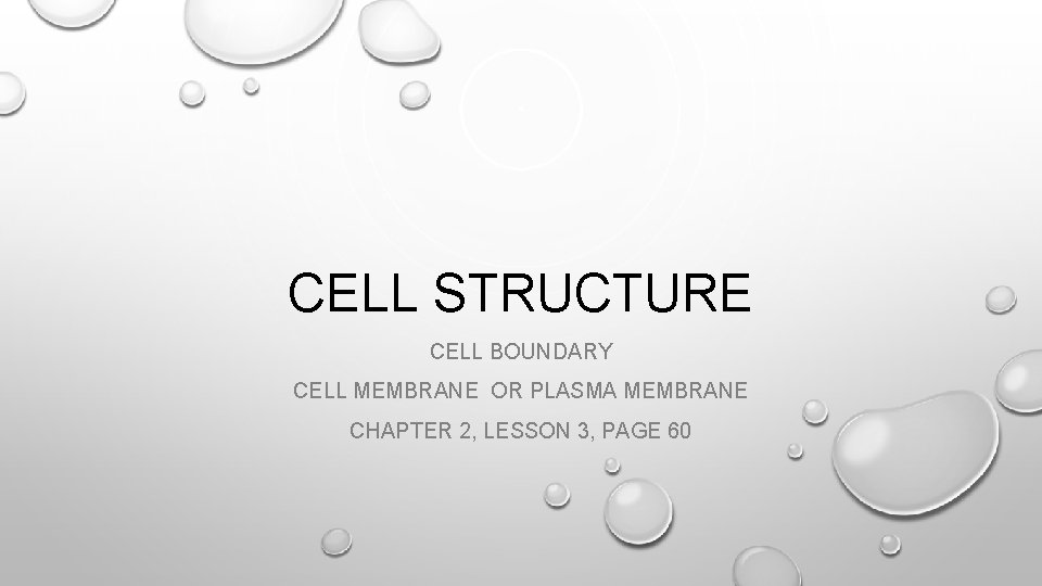CELL STRUCTURE CELL BOUNDARY CELL MEMBRANE OR PLASMA