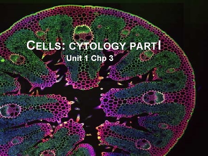 CELLS CYTOLOGY PART I Unit 1 Chp 3