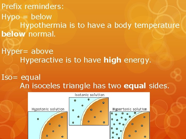 1 The cell membrane also known as the
