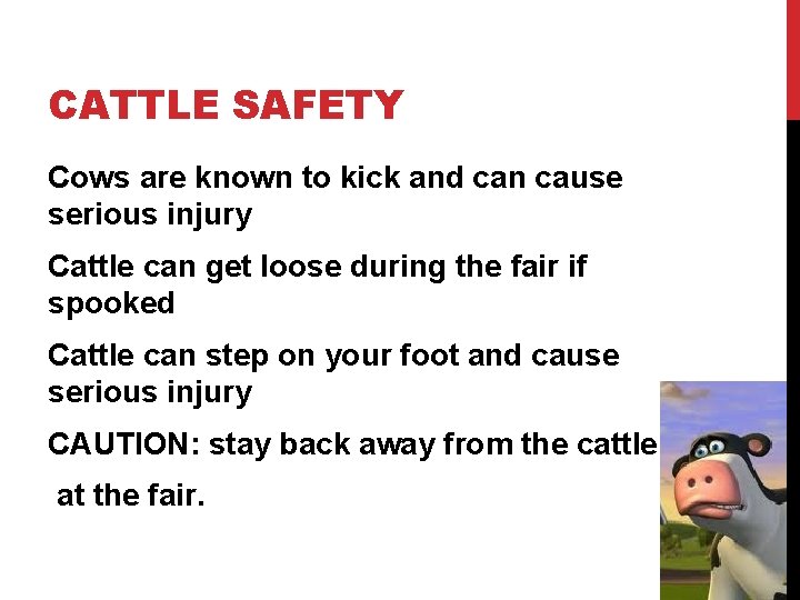 ANIMAL SAFETY SPEAKERS JESSIE CAMPEN KATIE DAUGHERTY BEN