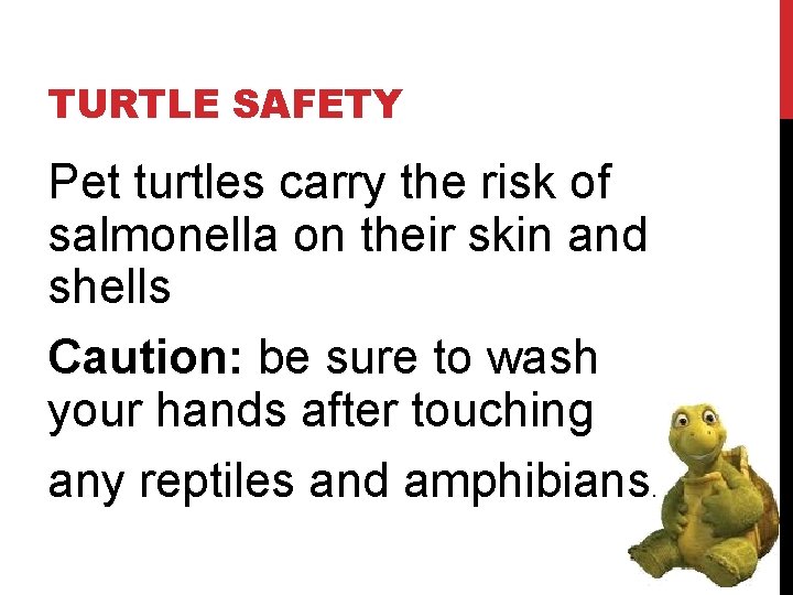 ANIMAL SAFETY SPEAKERS JESSIE CAMPEN KATIE DAUGHERTY BEN