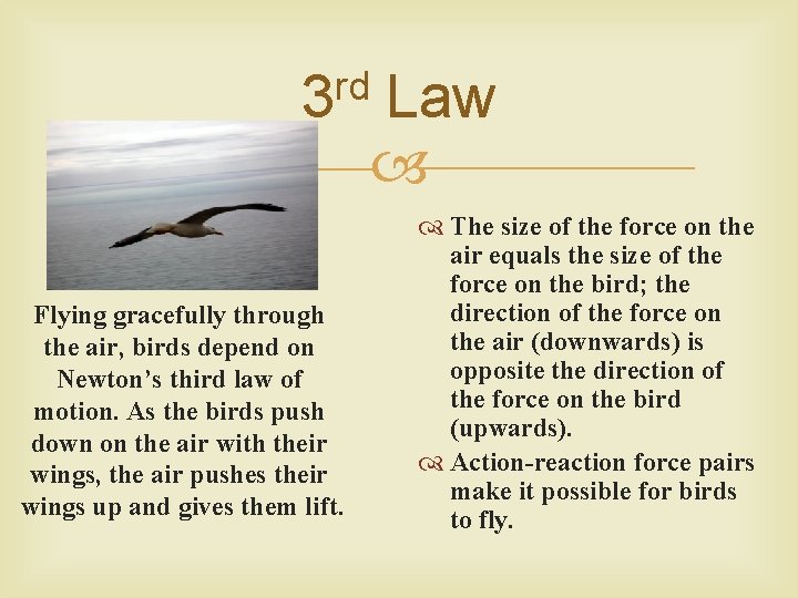 Newtons Laws of Motion I Inertia II Fma