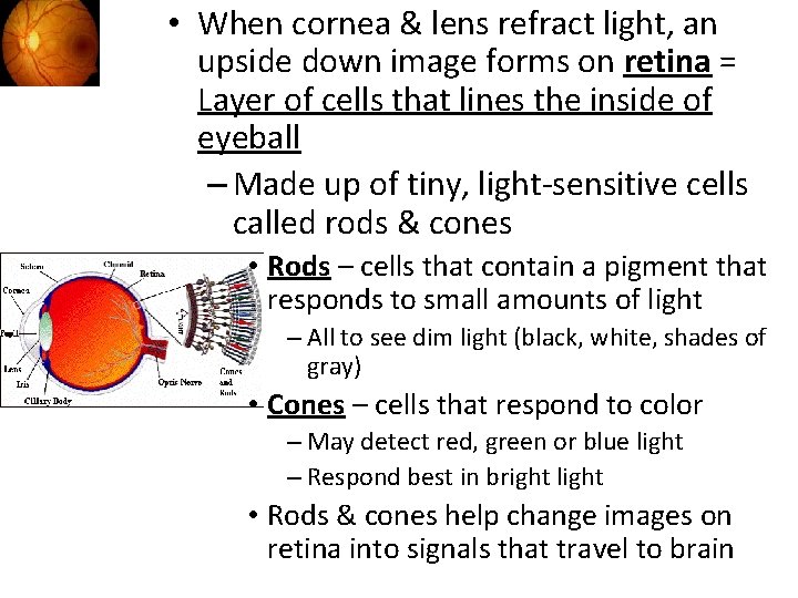 Refraction of Light When light rays enter a