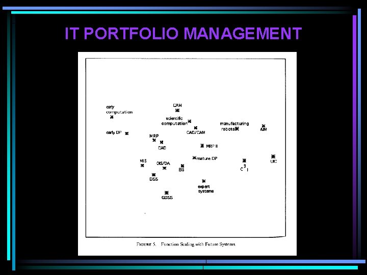 1242 2219 Information System Economics IT PORTFOLIO MANAGEMENT