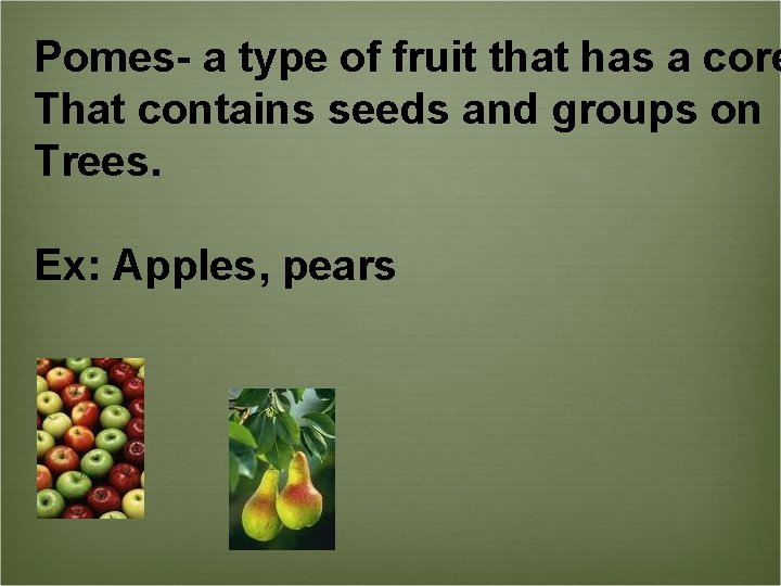 Fruits Intro to Foods Resource Amazing Foods Textbook