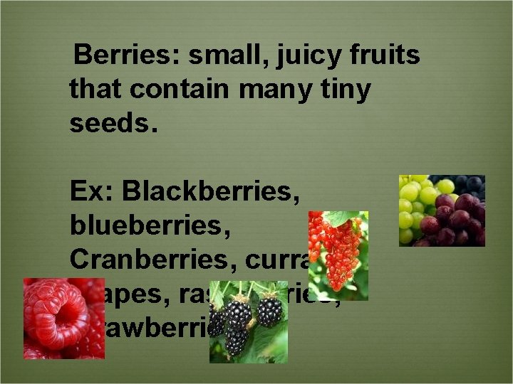 Fruits Intro to Foods Resource Amazing Foods Textbook