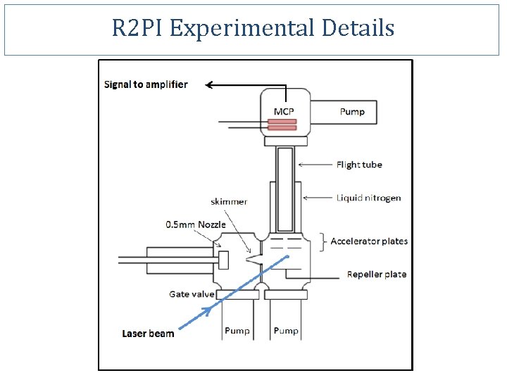 Reactive pathways in the chlorobenzeneammonia dimer cation radical