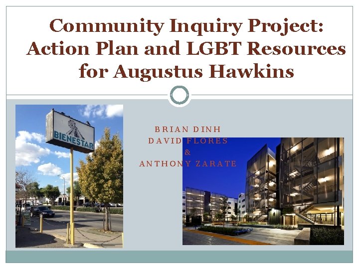 Community Inquiry Project Action Plan and LGBT Resources