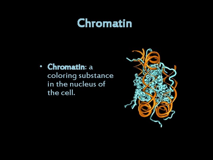 PLANT CELL BY JESSICA BRAVO Meaning Plant cell