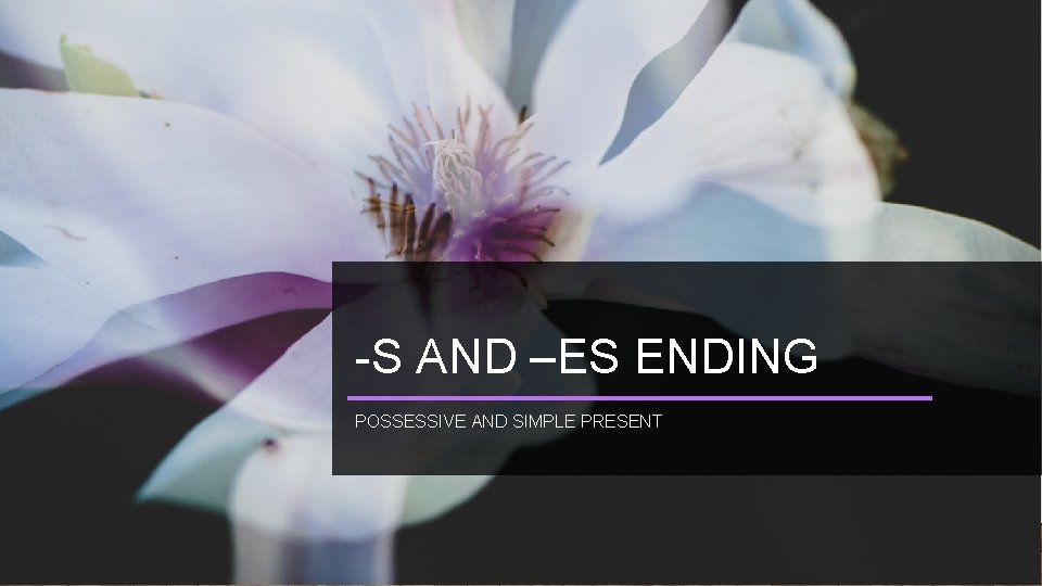 S AND ES ENDING POSSESSIVE AND SIMPLE PRESENT