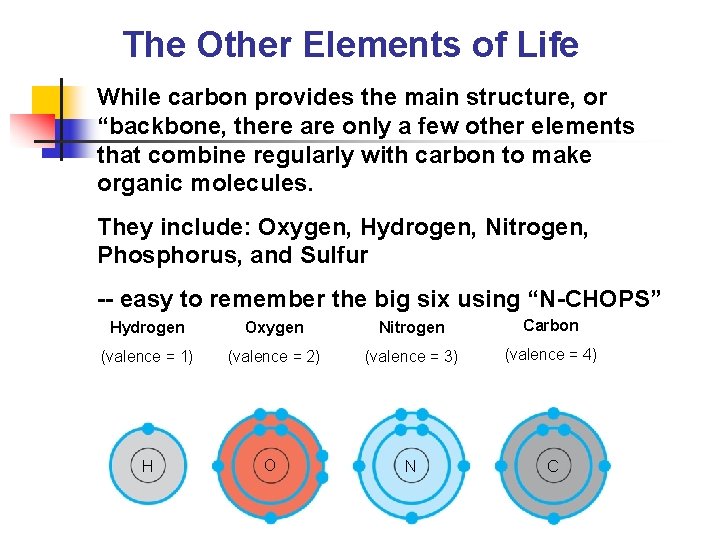 Organic Macromolecules Building Blocks of Life 2007 2008