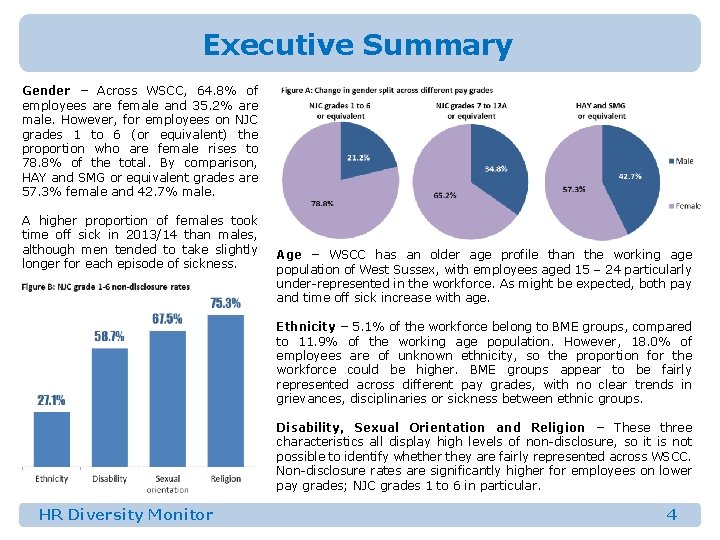 Appendix 1 HR Diversity Monitor Workforce Analysis October