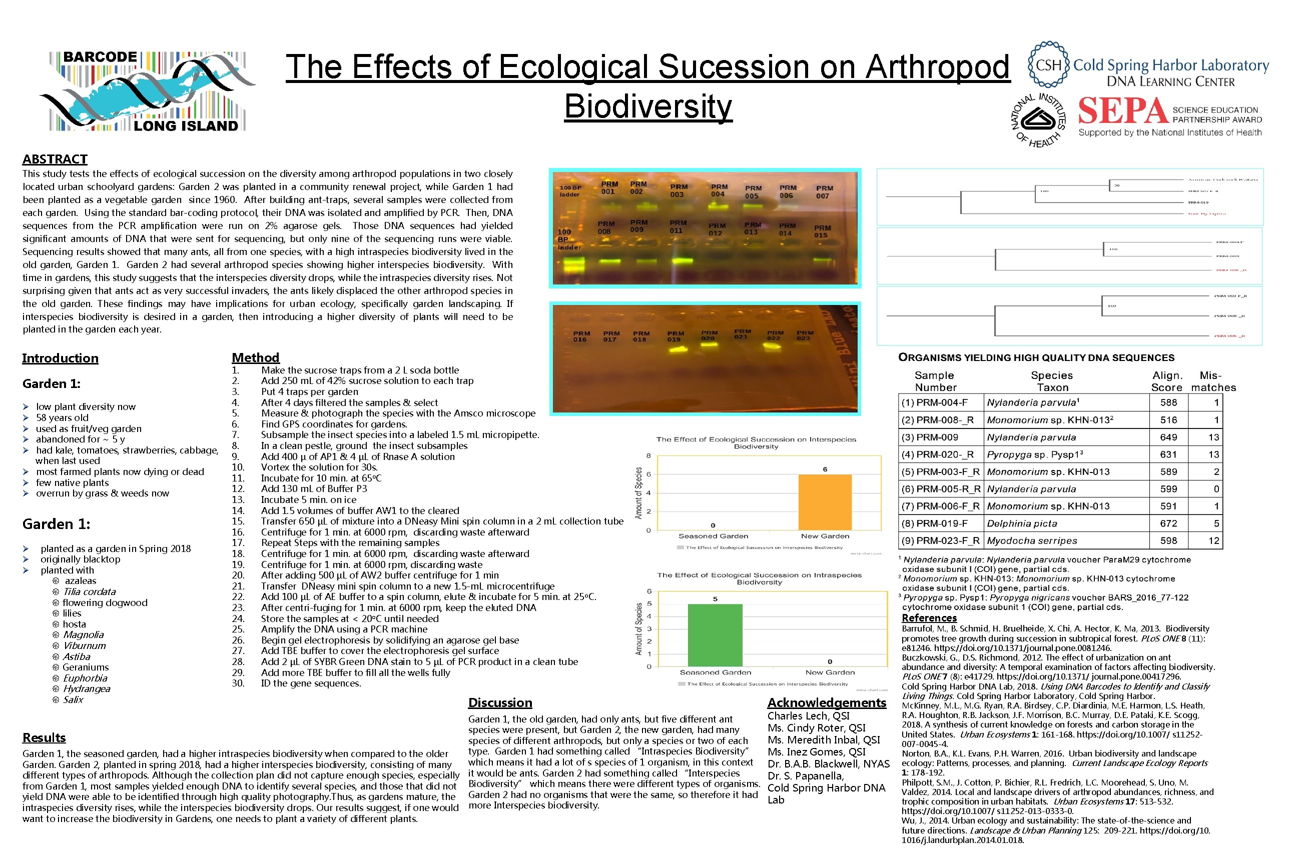 The Effects of Ecological Sucession on Arthropod Biodiversity