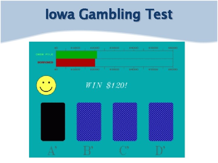 SCAMS Influencing the Aging Brain Erik Lande Ph