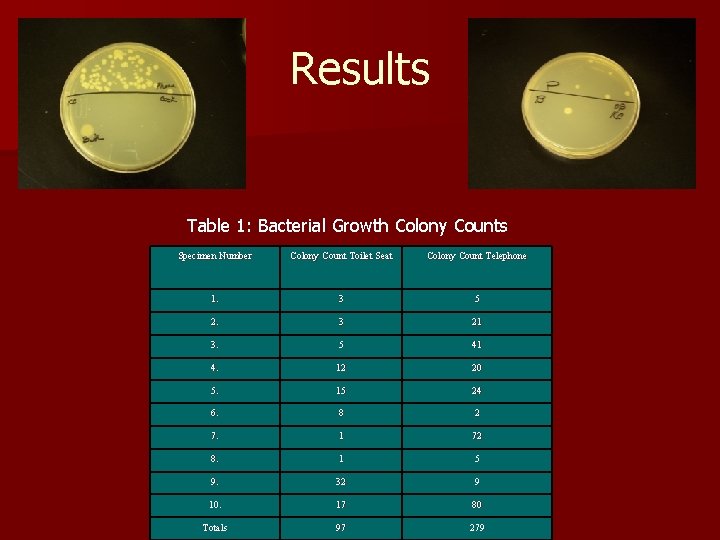 Bacterial Growth Comparison Between Public Restrooms and Telephones