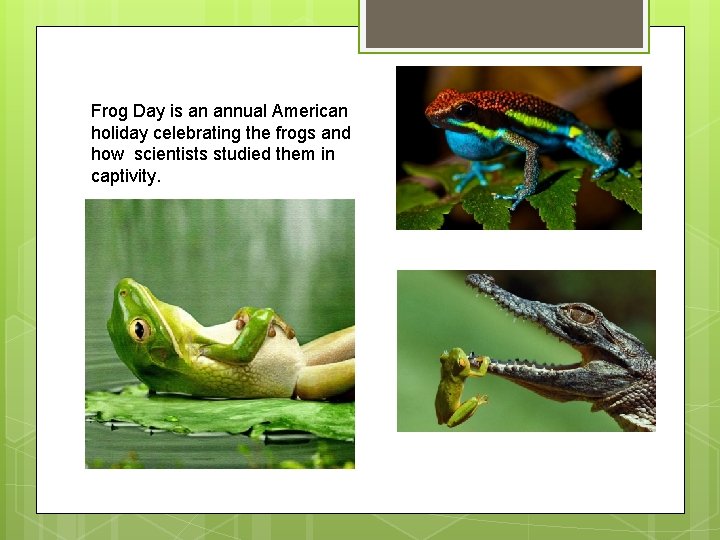Frog Day An American Holiday In this power
