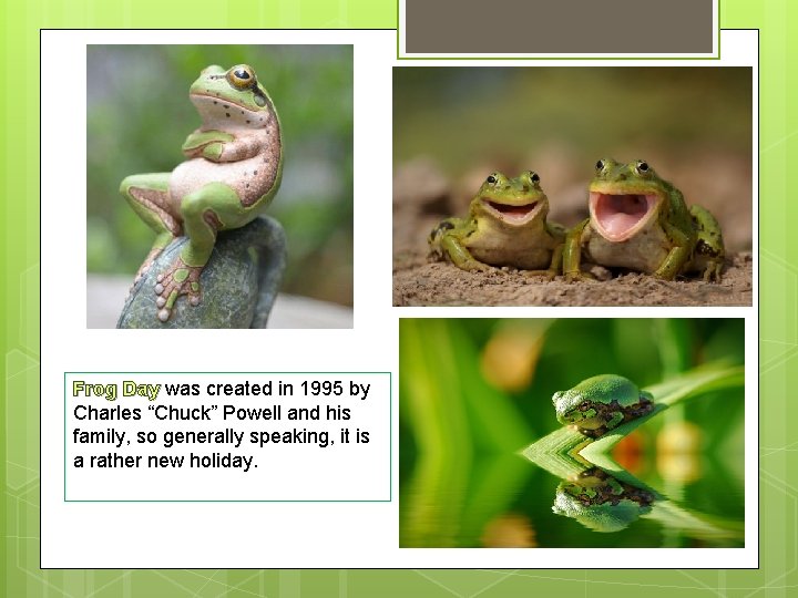 Frog Day An American Holiday In this power