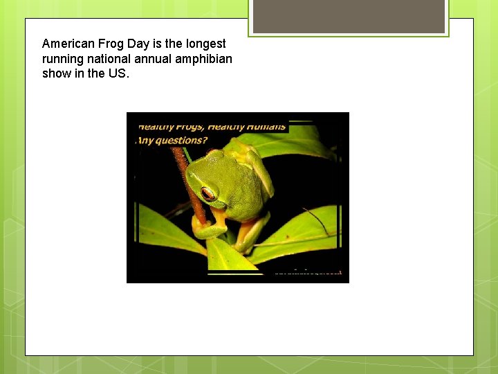Frog Day An American Holiday In this power