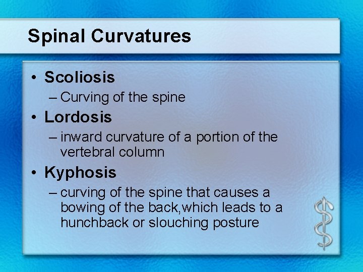 Bone and Joint Disorders Diseases Yes you better