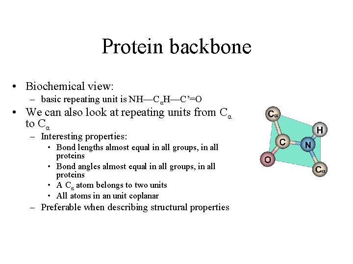 Protein backbone Biochemical view basic repeating unit is