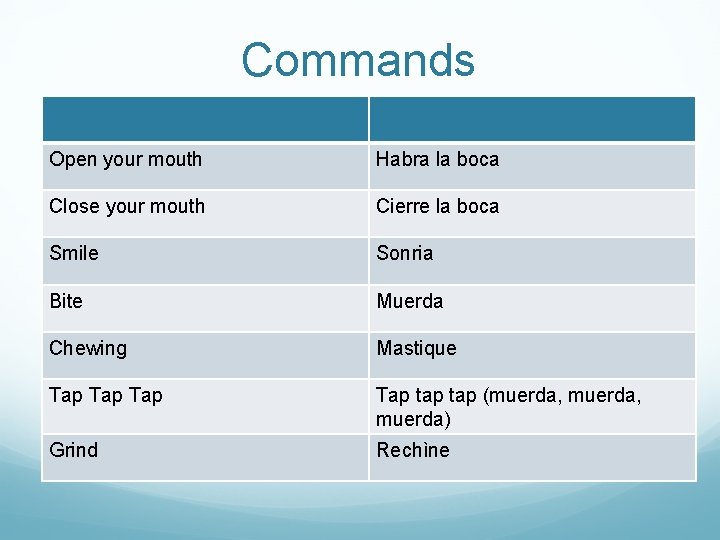 SNDA Presenta El Dentista Head Neck Cabeza y