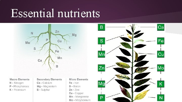 Problem 3 Invent Yourself chemistry of potatoes Reporter