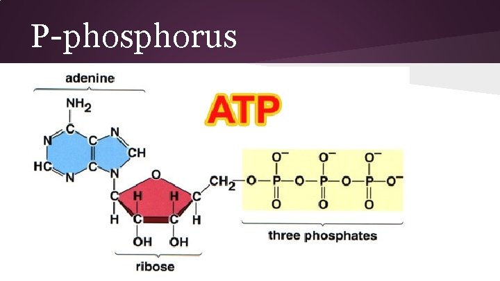 Problem 3 Invent Yourself chemistry of potatoes Reporter