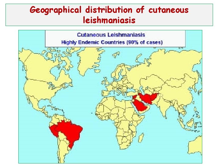 Hemoflagellates of medical importance Leishmania spp Trypanosoma spp