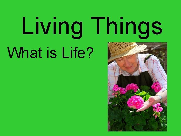 Living Things What is Life Organisms Another name