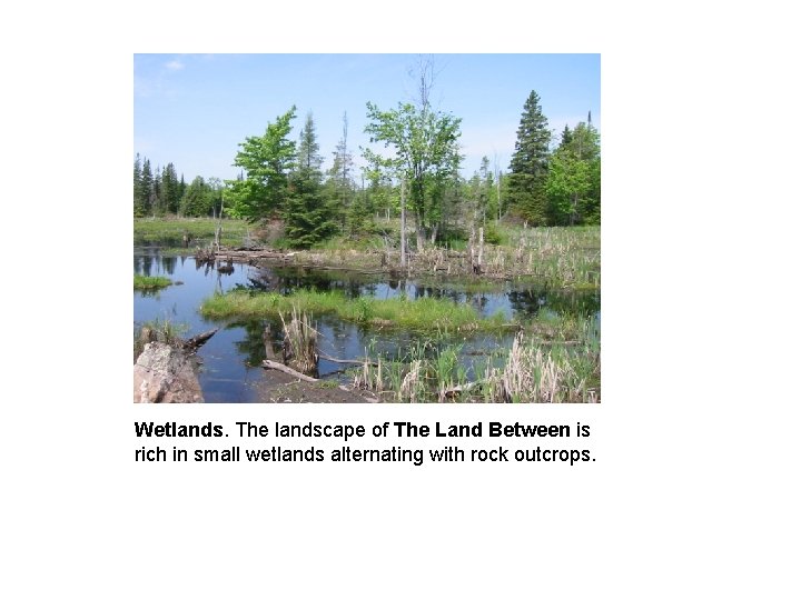 Climate Plant Hardiness Zones of The Land Between