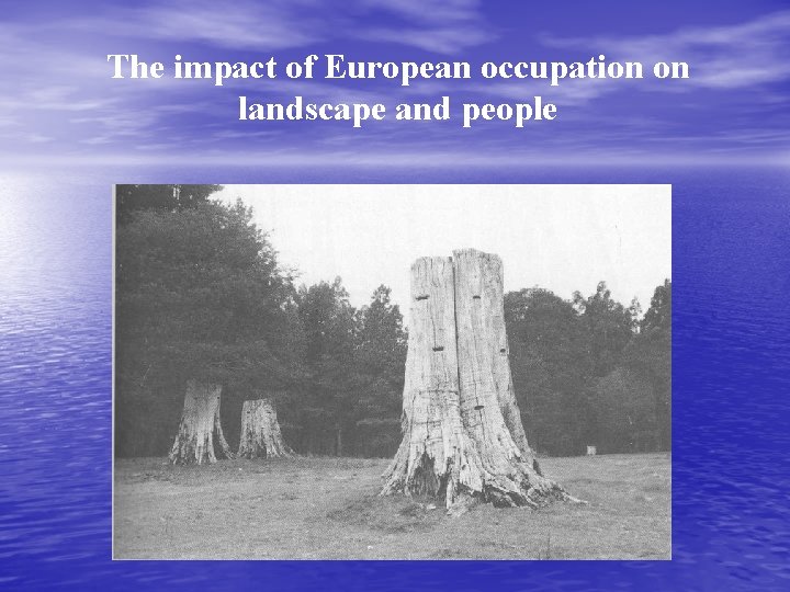 The Kulin Nation From Barwick 1985 Social organisation