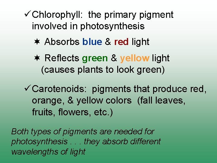 Its Not Easy Being Green Photosynthesis Part 1